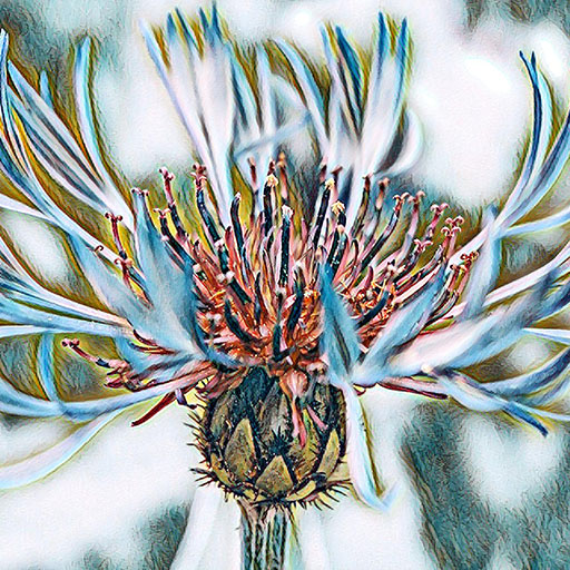 Custom Acrylic Glass Prints | Photos on Glass | Big Acrylic